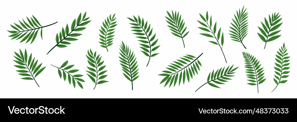 Flat tropical palm leaves icon set isolated Vector Image