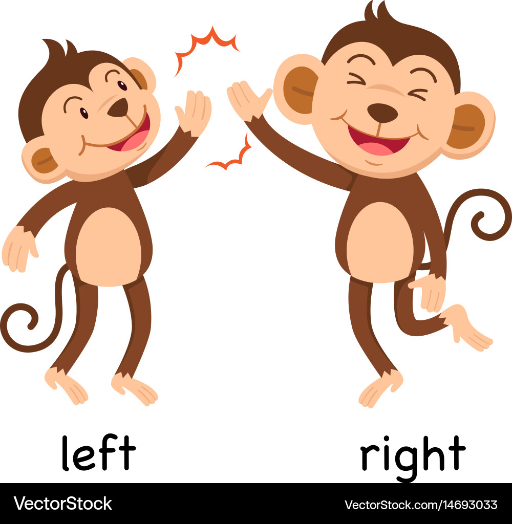 Opposite words left and right Royalty Free Vector Image