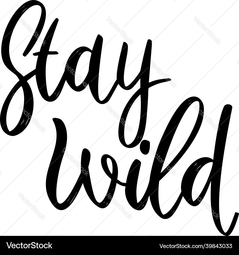 Stay wild lettering phrase on white background Vector Image