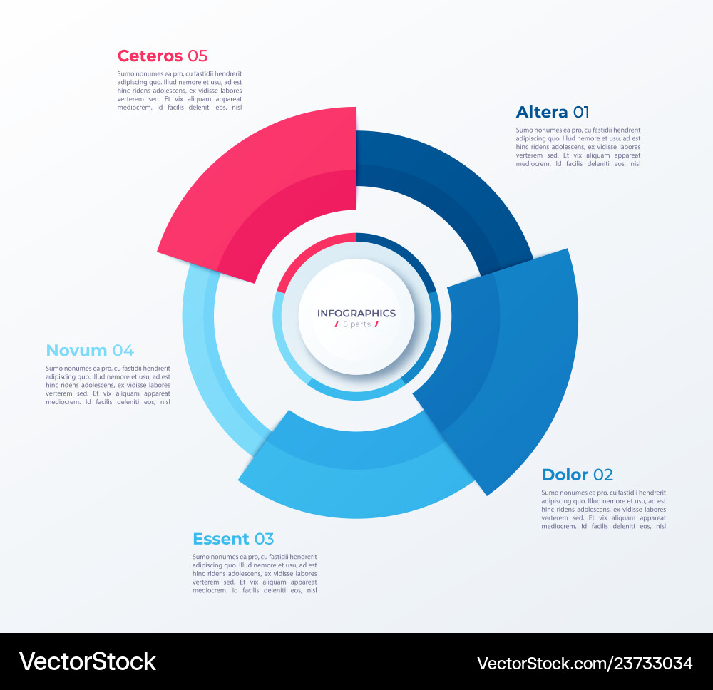 Circle chart design modern template Royalty Free Vector