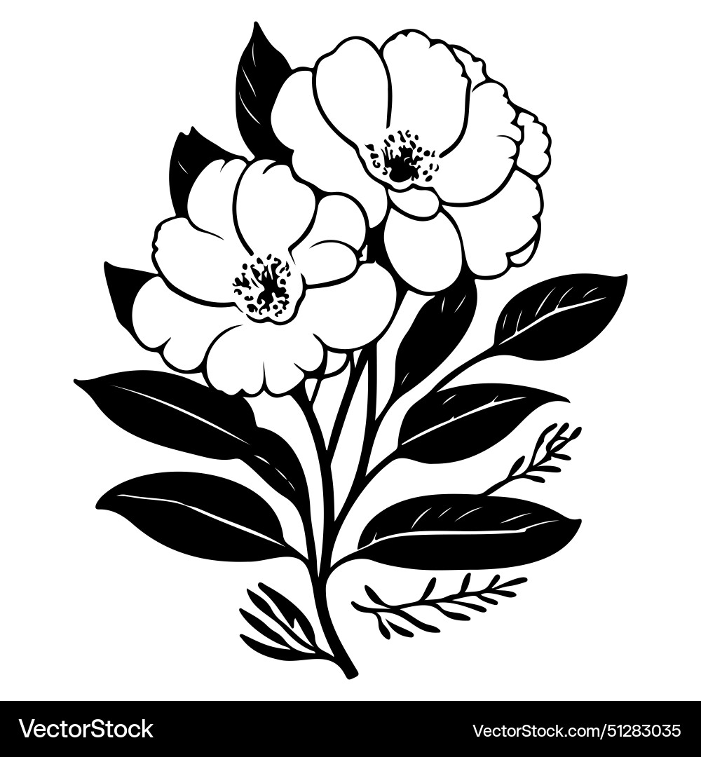 Primrose flower sketch Royalty Free Vector Image