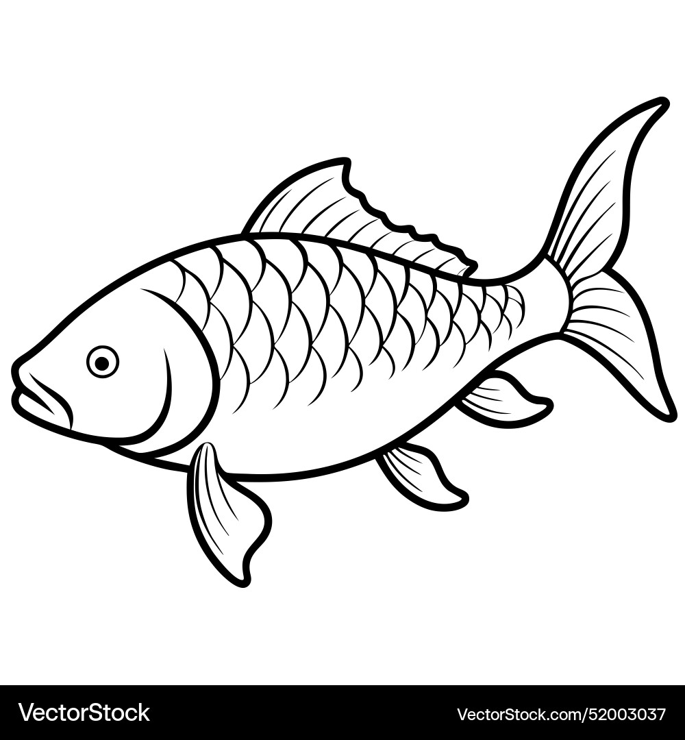 Common carp fish walks icon Royalty Free Vector Image