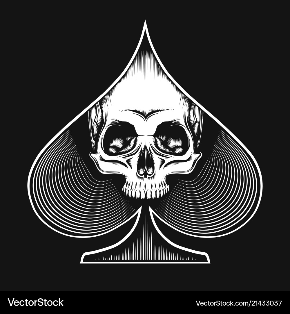 Skull in spade symbol Royalty Free Vector Image