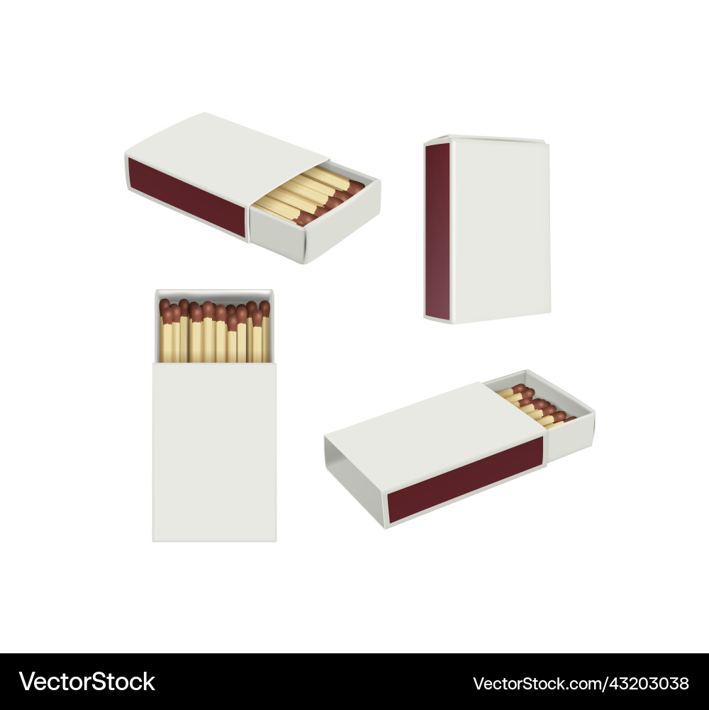 Matchboxes realistic burning stick matches Vector Image