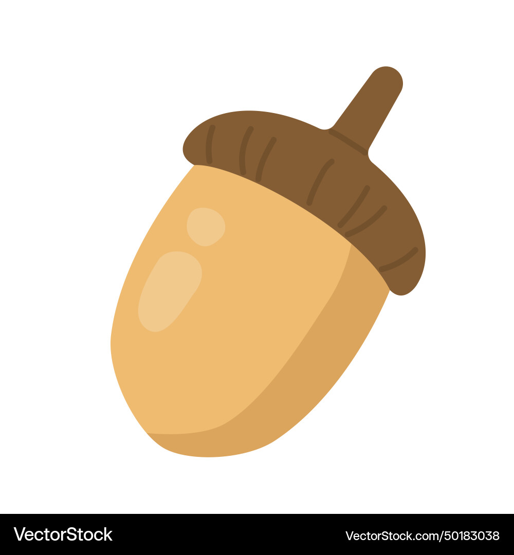 Oak tree acorn Royalty Free Vector Image - VectorStock