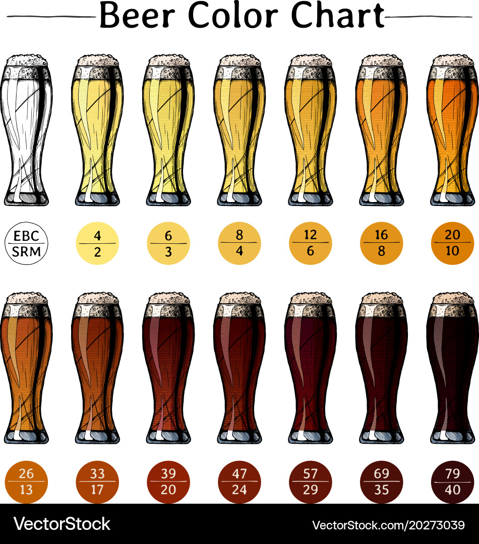Bier Farbkarte Lizenzfreies Vektorbild - VectorStock