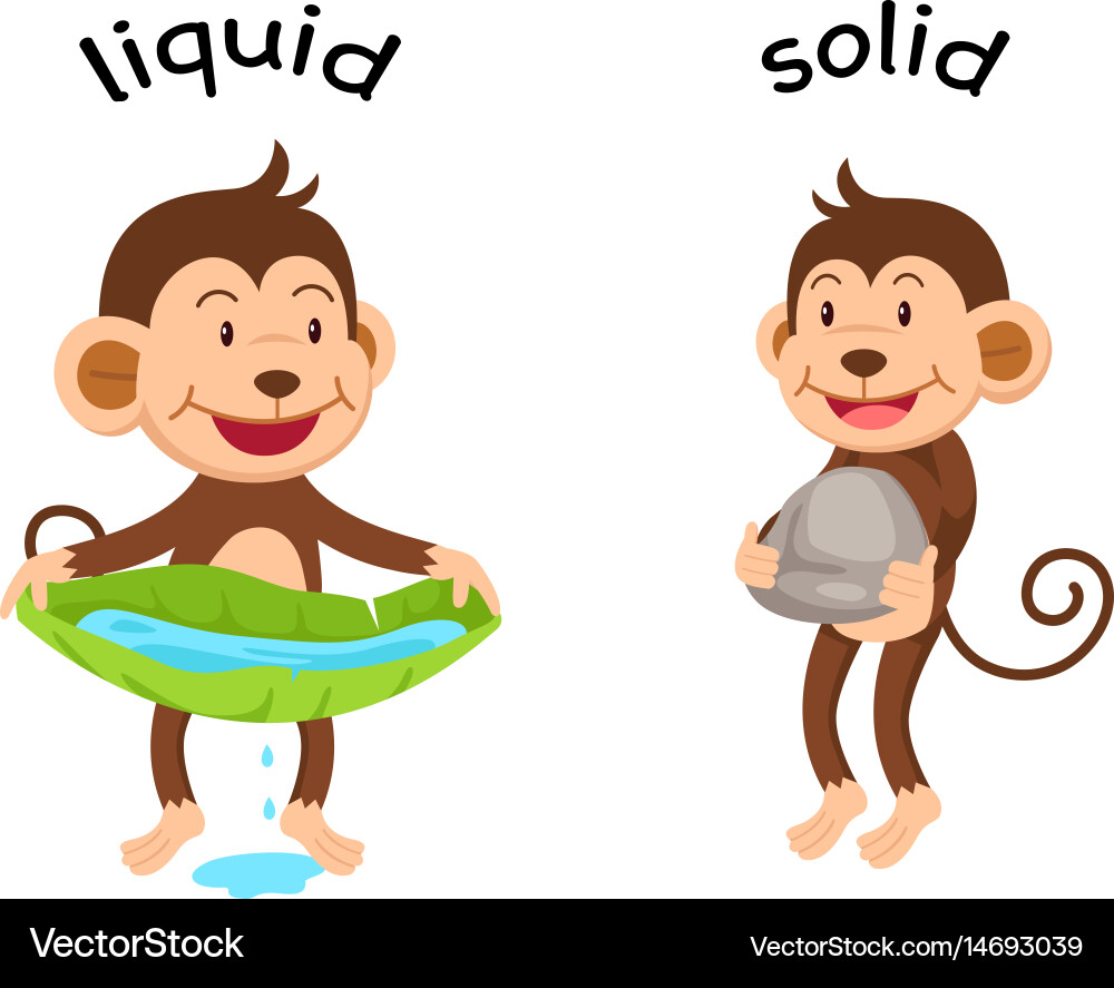 Opposite words liquid and solid Royalty Free Vector Image