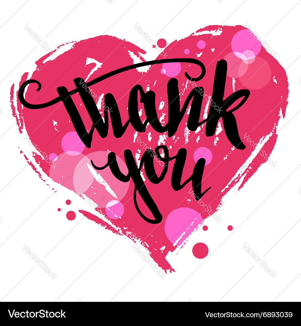 Thank you calligraphy valentines day card Vector Image