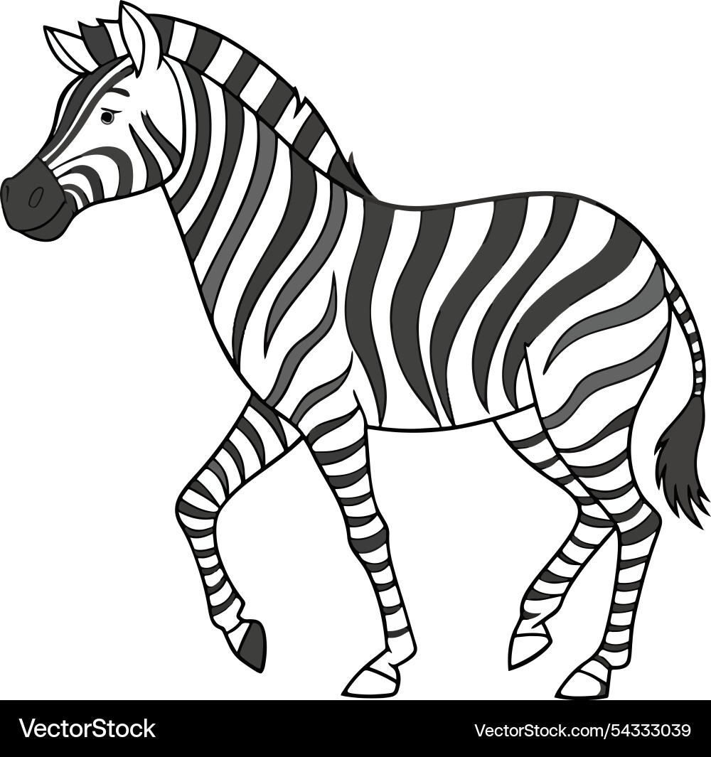 Zebra Royalty Free Vector Image - VectorStock
