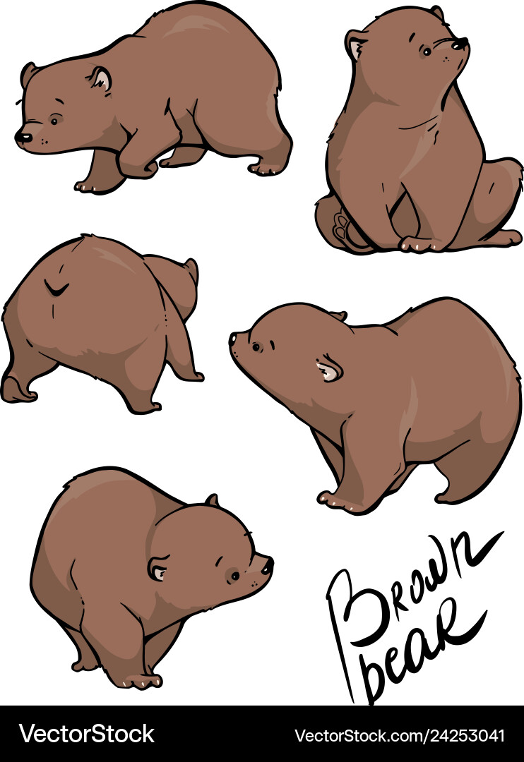 Bear Poses - Flat Set Royalty Free Vector Image