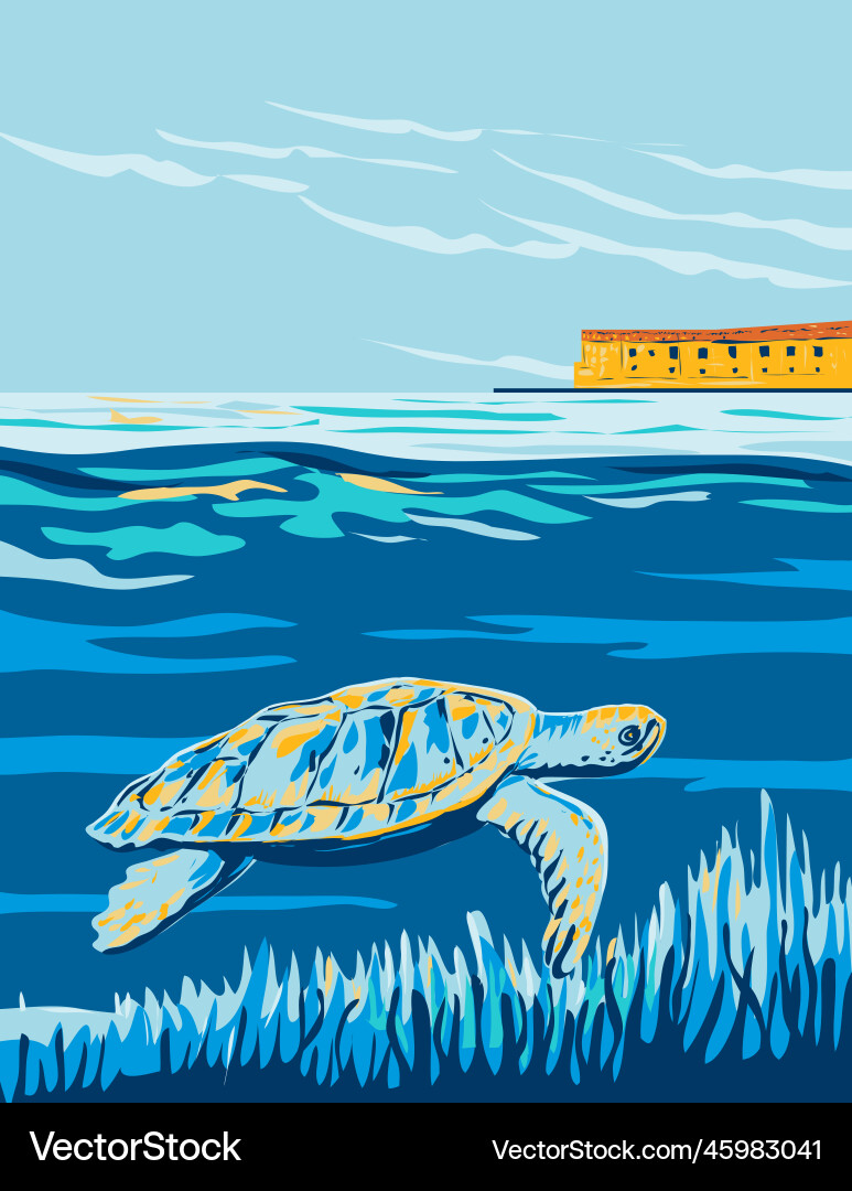 Loggerhead sea turtle in dry tortuga national Vector Image