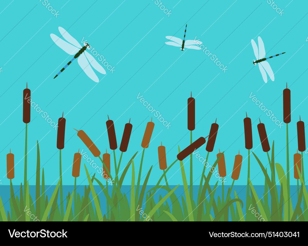 Pond or river with cattails dragonflies over water