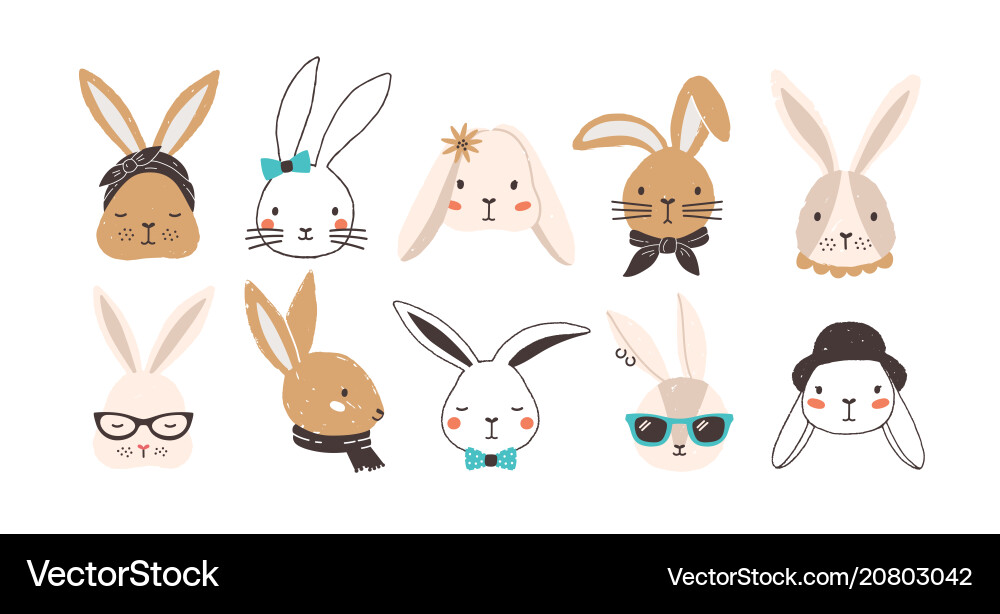 Funny Bunny Faces Bunny Faces Images – Browse 207,576 Stock Photos,