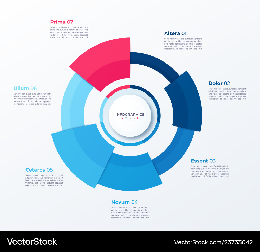 Circle chart design modern template Royalty Free Vector