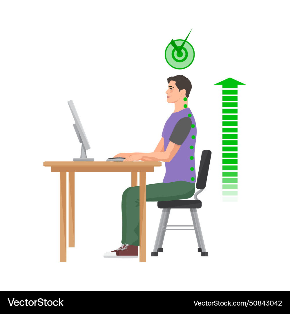 Correct spine posture sitting at computer Vector Image