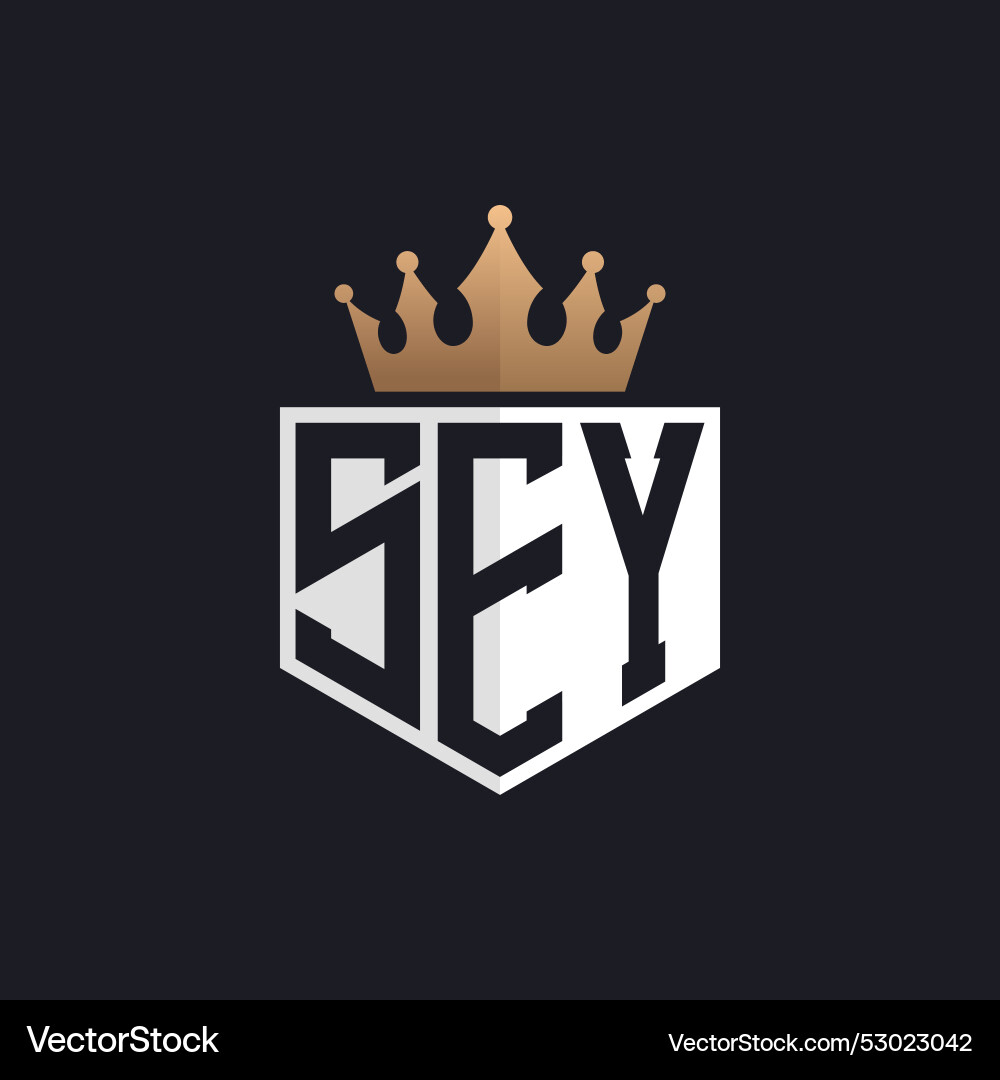 Luxury sey logo with crown elegant initials Vector Image