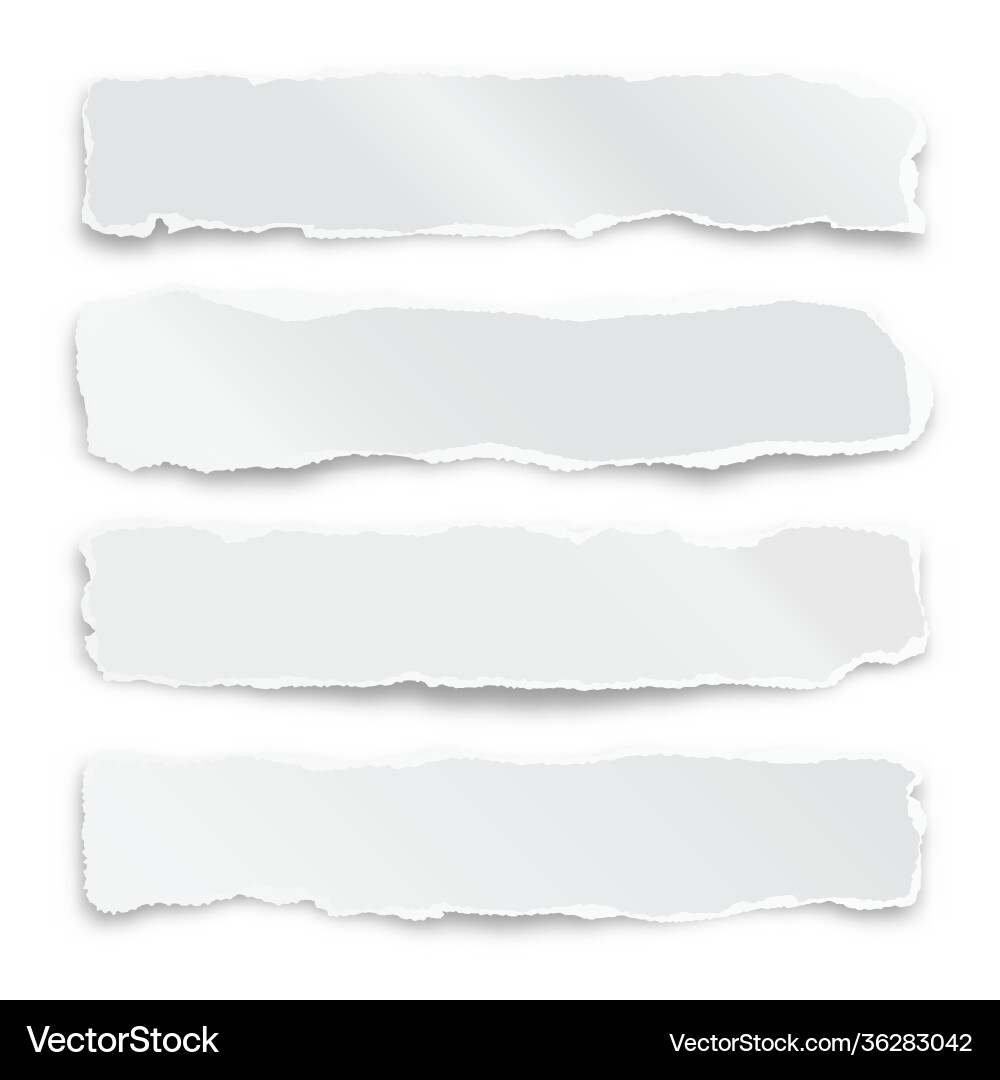 Ripped paper strips isolated on white background Vector Image