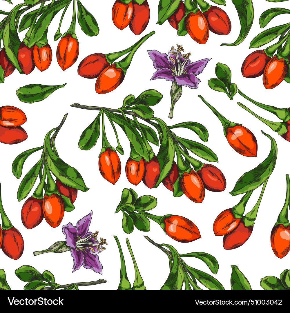 Seamless pattern with hand drawn colorful goji Vector Image