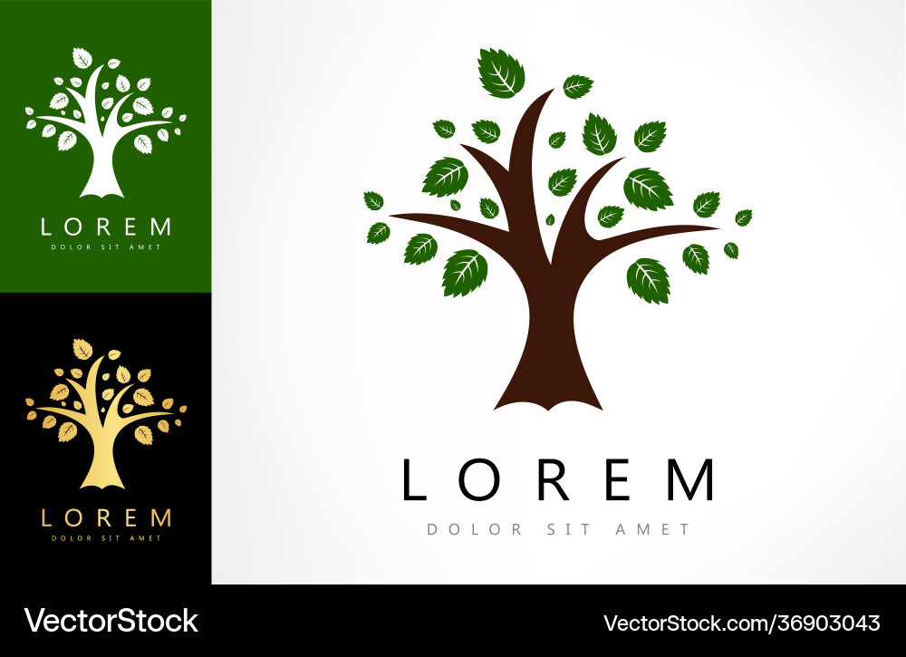 Botanical Tree Logos Royalty Free Vector Image