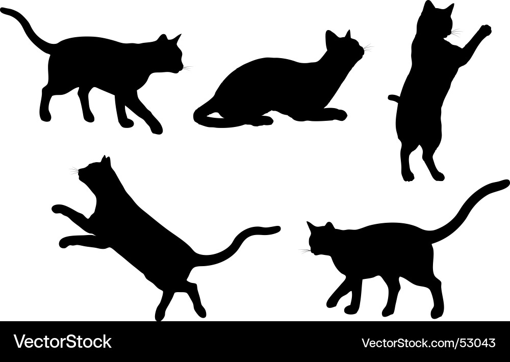Cute Cats Playing Royalty Free Vector Image - VectorStock