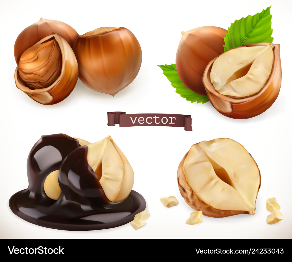 Hazelnut 3d realistic icon set Royalty Free Vector Image