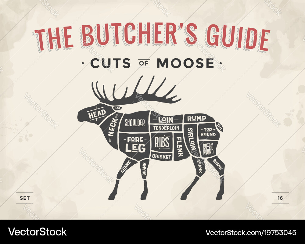 Butcher Diagram - Moose Cut Royalty Free Vector Image