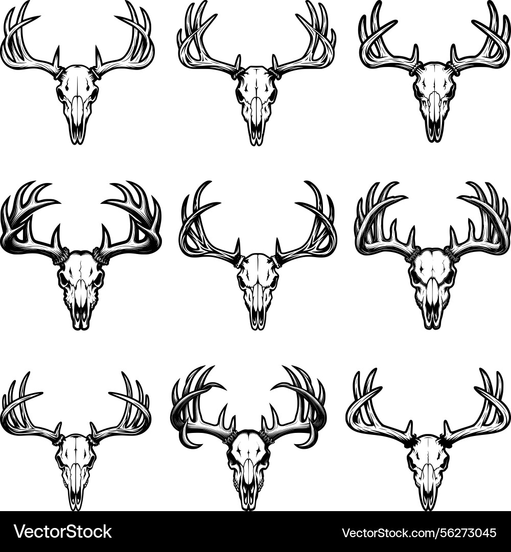 Deer skull face svg bundle animal Royalty Free Vector Image