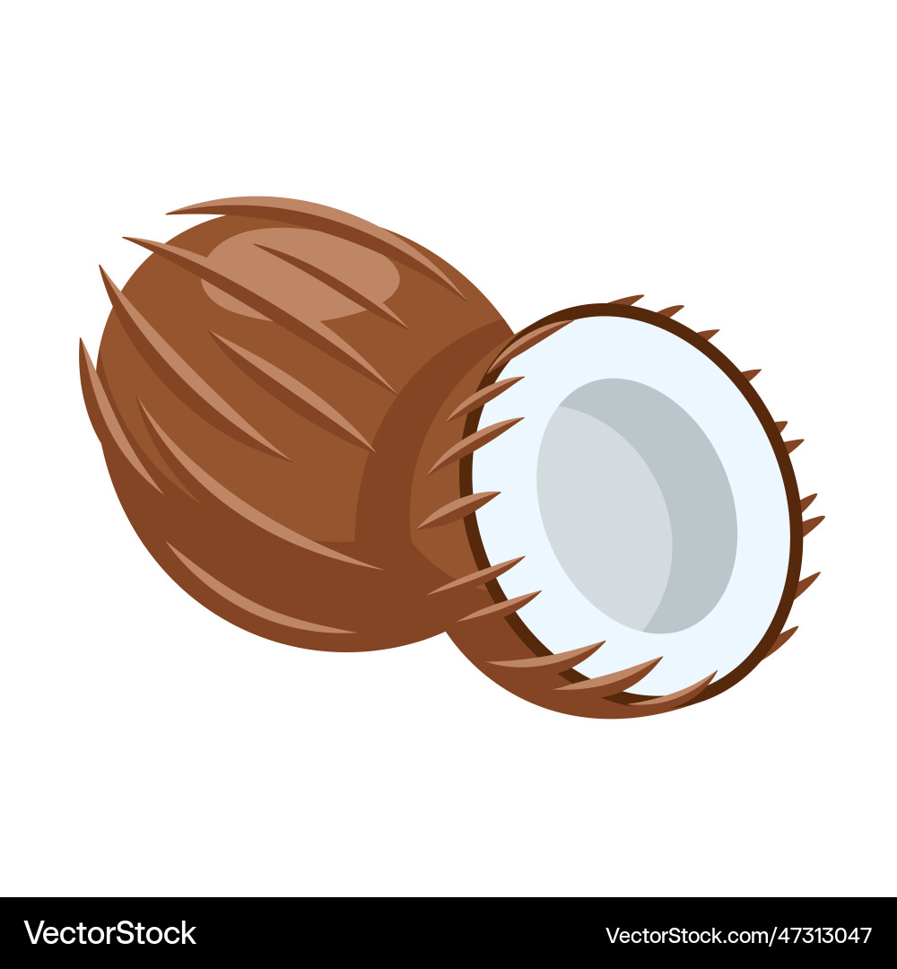 Coconut icon isolated on white background Vector Image