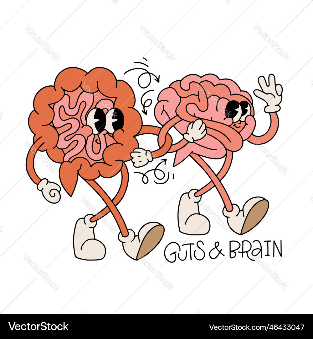 Cute groovy brain and intestines characters Vector Image