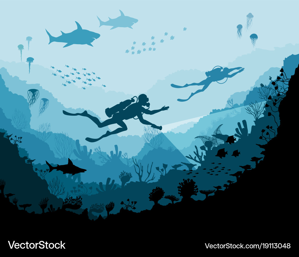 Diver explorers and reef underwater wildlife Vector Image