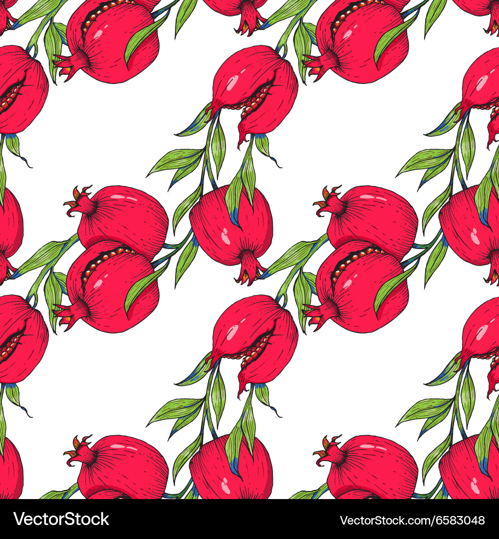Pomegranate fruit pattern Royalty Free Vector Image