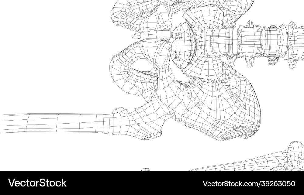 Human skeleton Royalty Free Vector Image - VectorStock