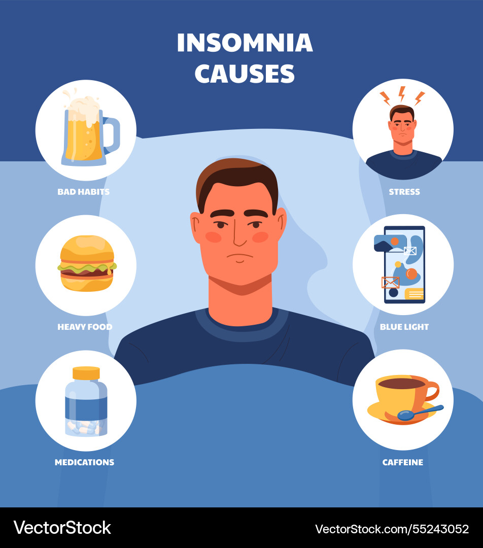 Insomnia causes Royalty Free Vector Image - VectorStock
