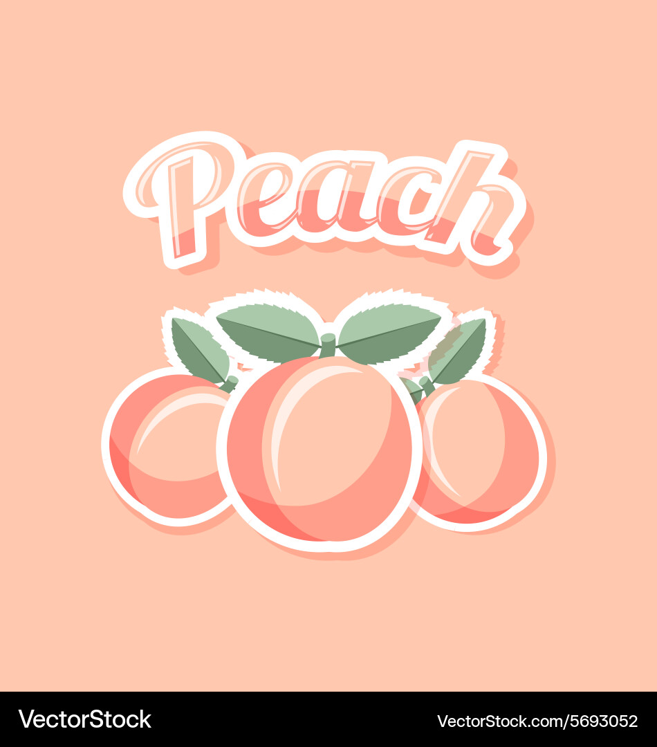 Retro peach Royalty Free Vector Image - VectorStock