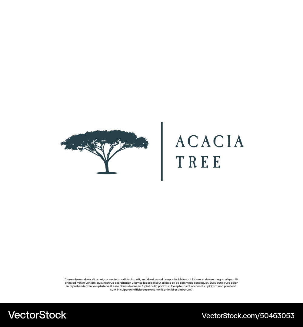 African acacia tree silhouette for safari Vector Image