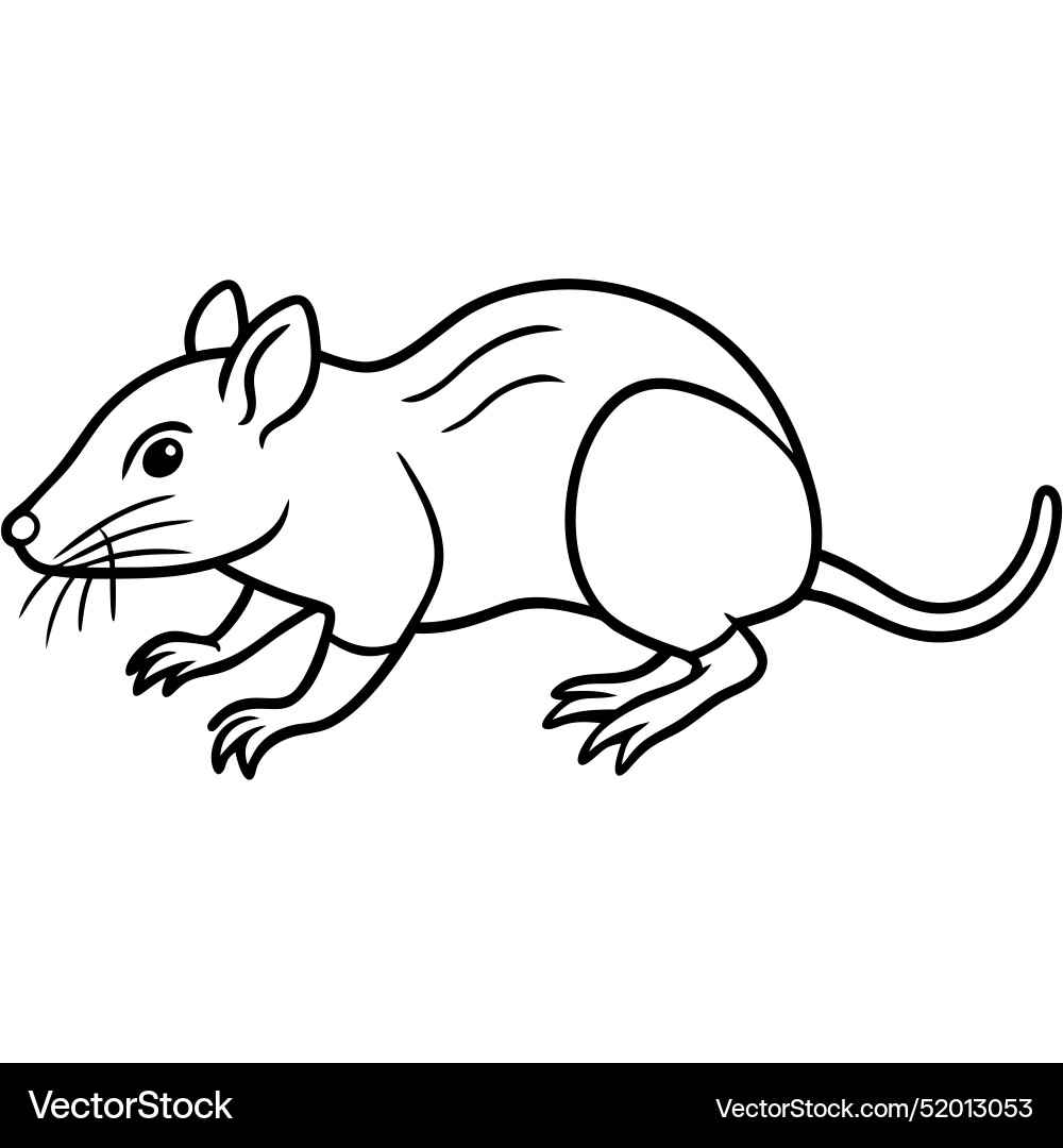 Galapagos rice rat mouse looks icon Royalty Free Vector