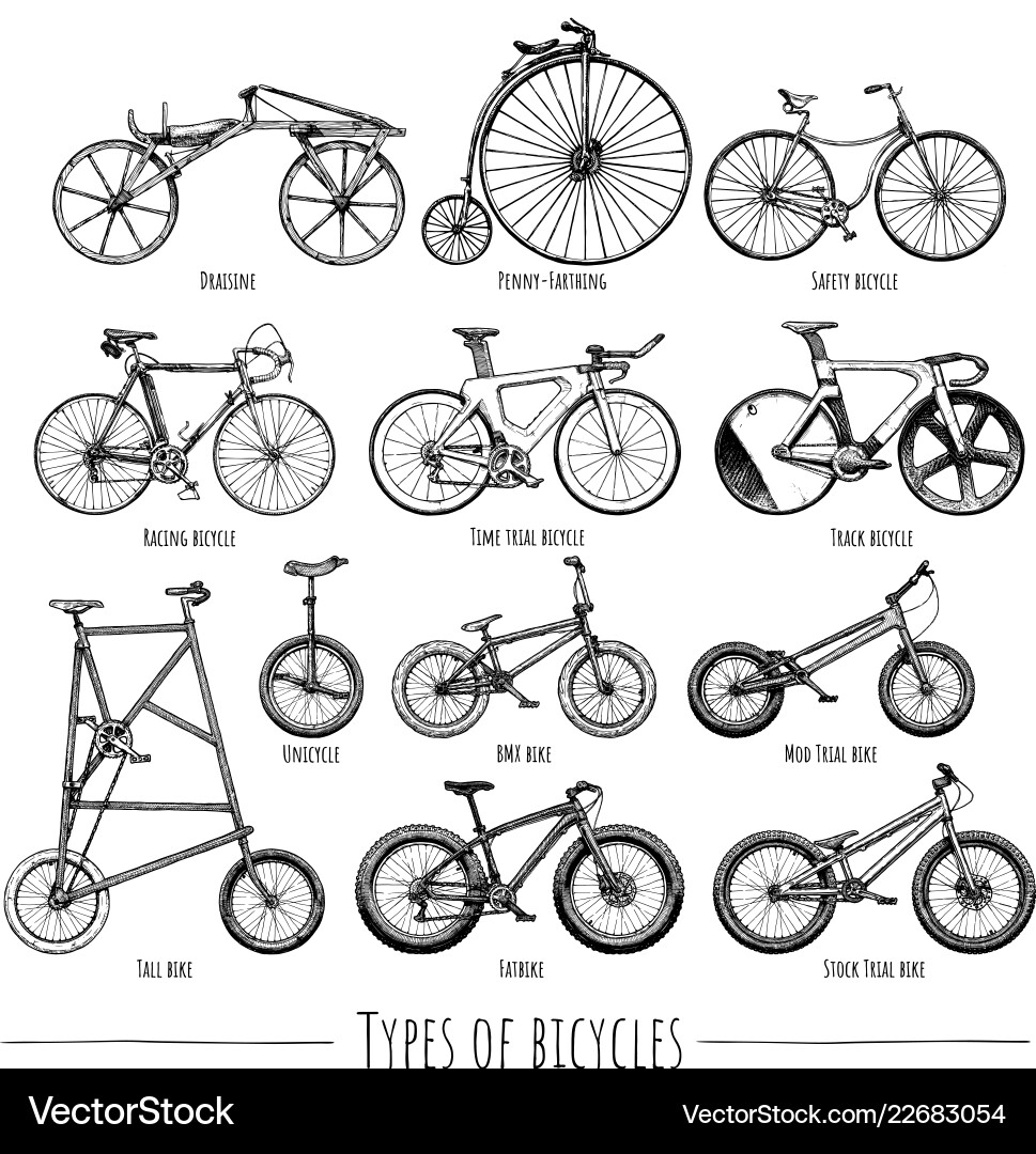 Diverse Bicycle Styles Royalty Free Vector Image