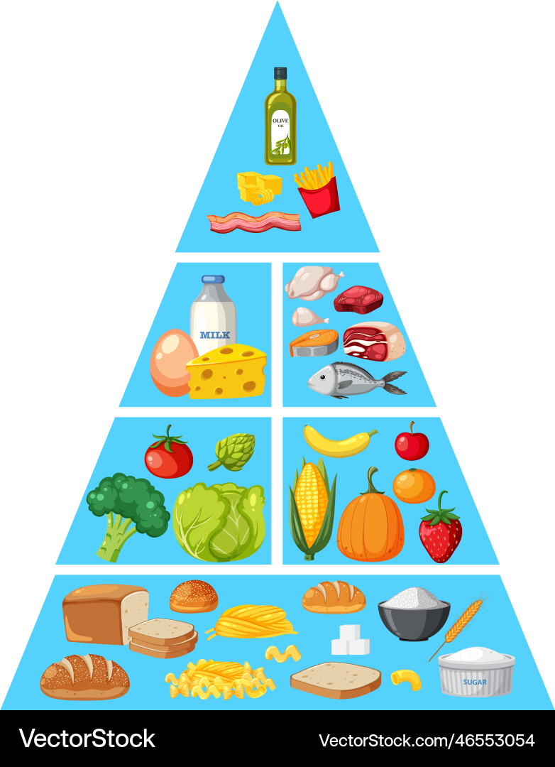 Food nutrition groups pyramid Royalty Free Vector Image