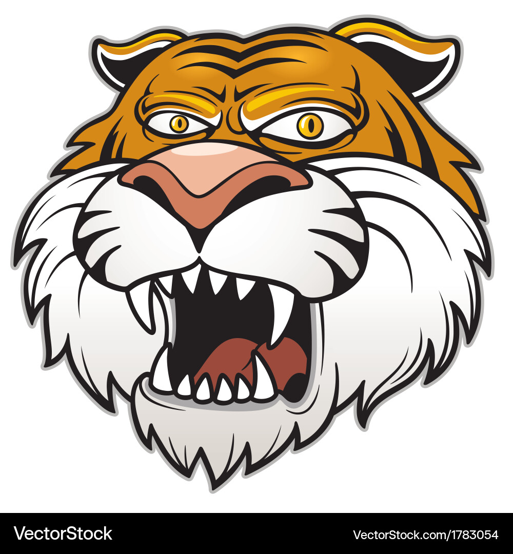 Head tiger Royalty Free Vector Image - VectorStock