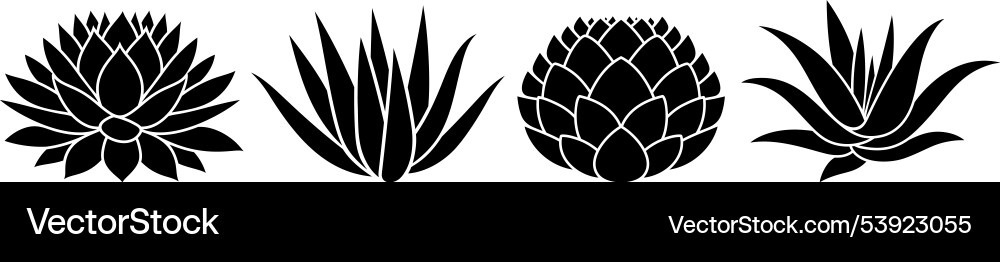 Agave Plant Collection Royalty Free Vector Image