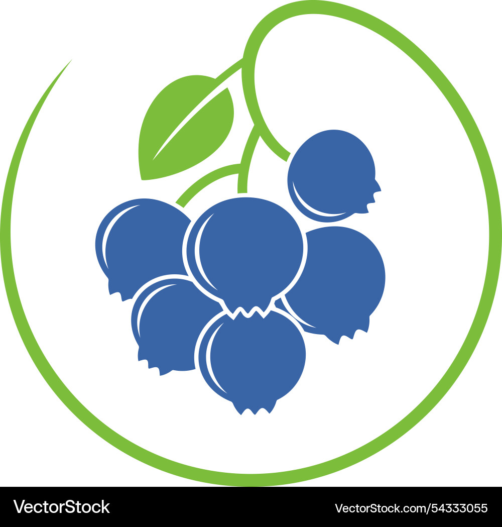 Blueberry Royalty Free Vector Image - VectorStock