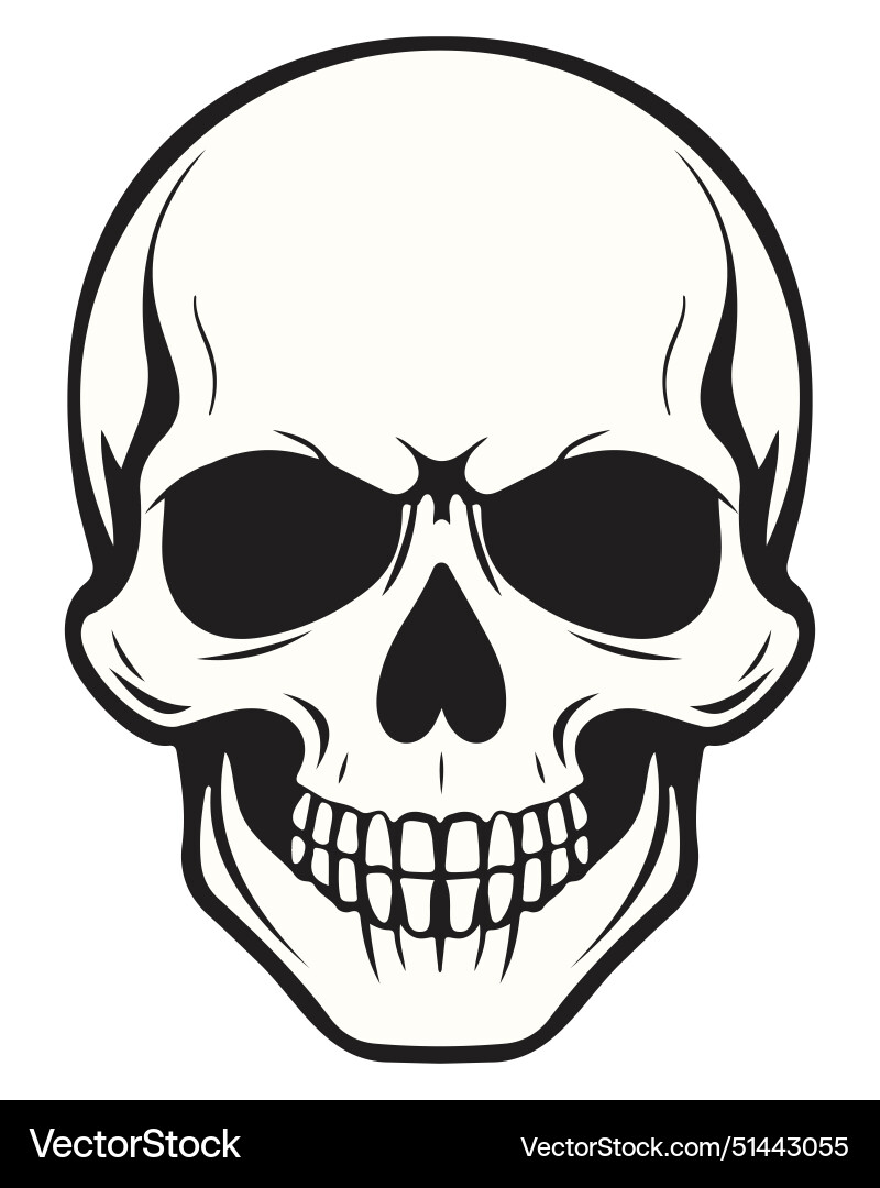 Human skull Royalty Free Vector Image - VectorStock