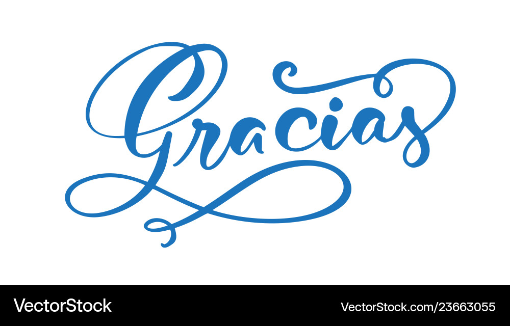 Modern brush calligraphy gracias hand written Vector Image