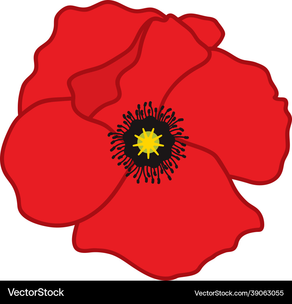 Red poppy Royalty Free Vector Image - VectorStock