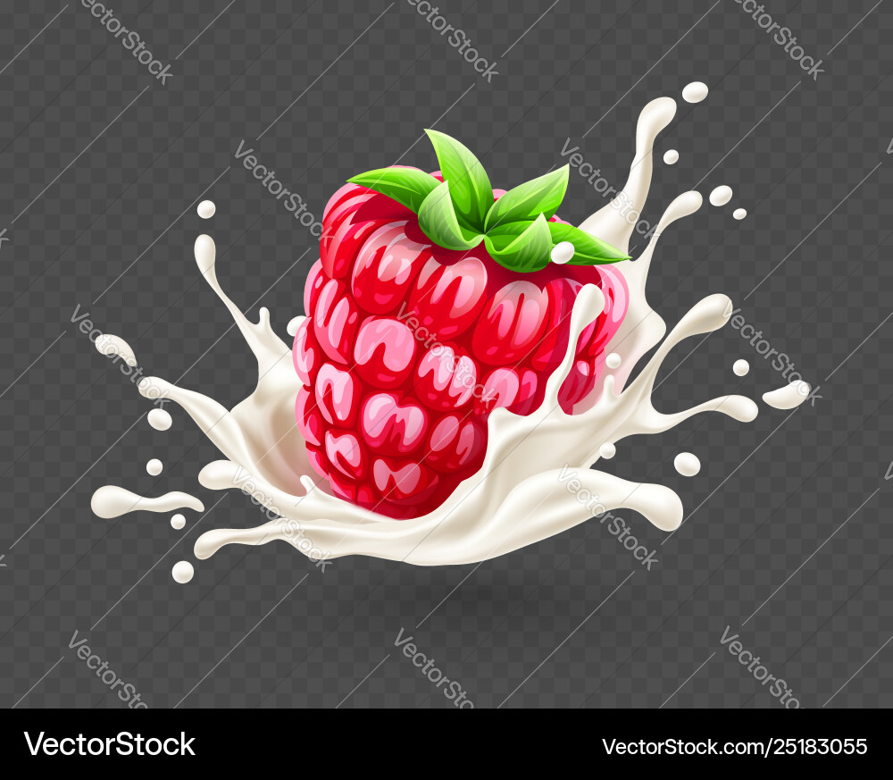 Ripe red raspberry fruit Royalty Free Vector Image