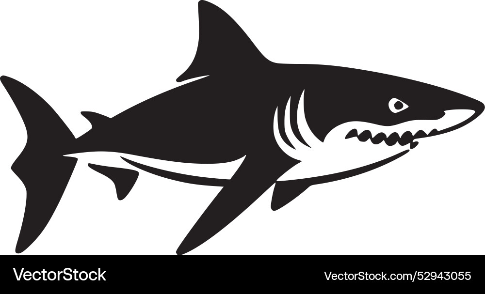 Shark - minimalist and simple silhouette Vector Image