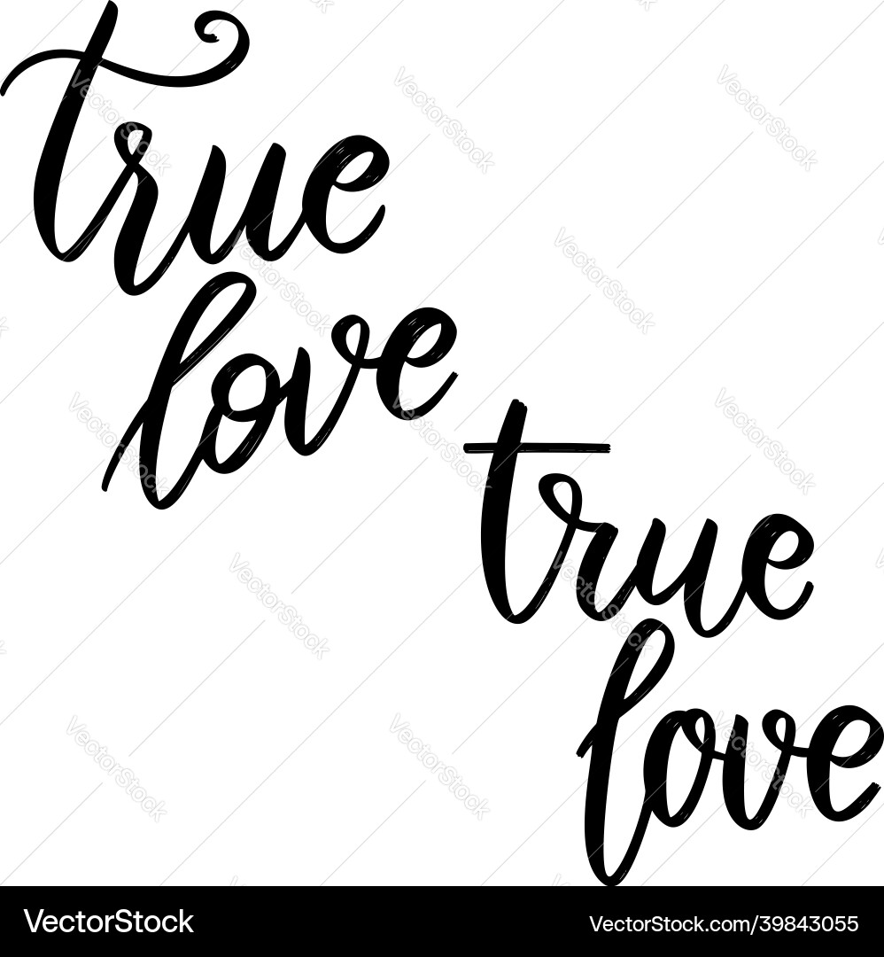 True love lettering phrase on white background Vector Image