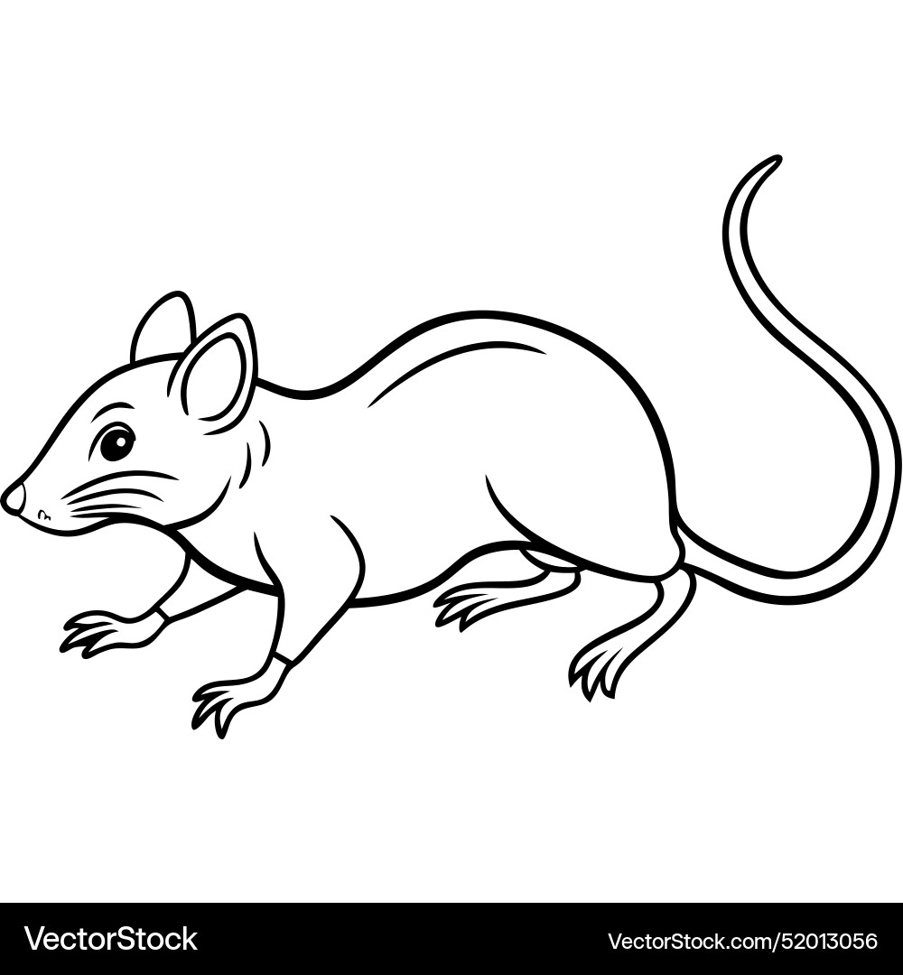 Galapagos rice rat mouse runs icon Royalty Free Vector Image