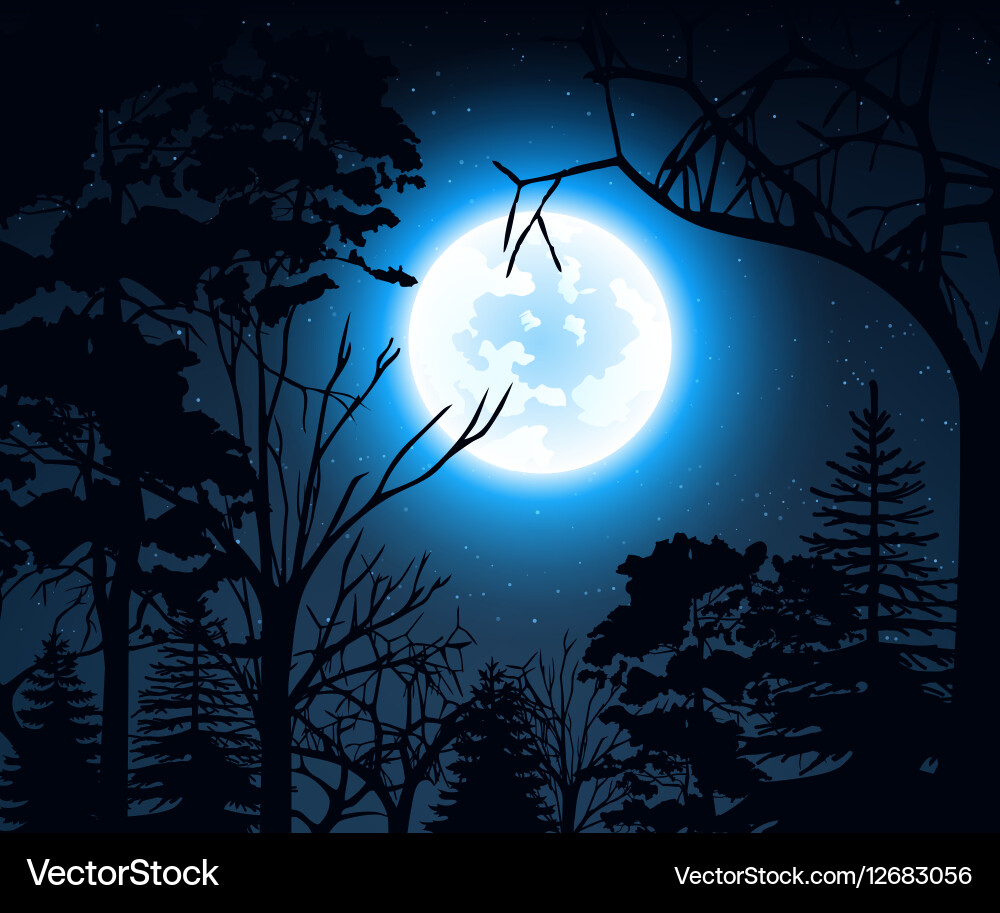 Night landscape with starry sky and full moon Vector Image