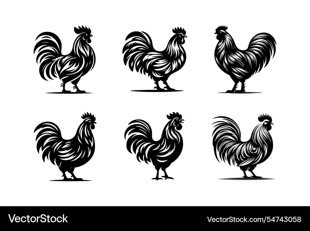 Chicken silhouette Royalty Free Vector Image - VectorStock
